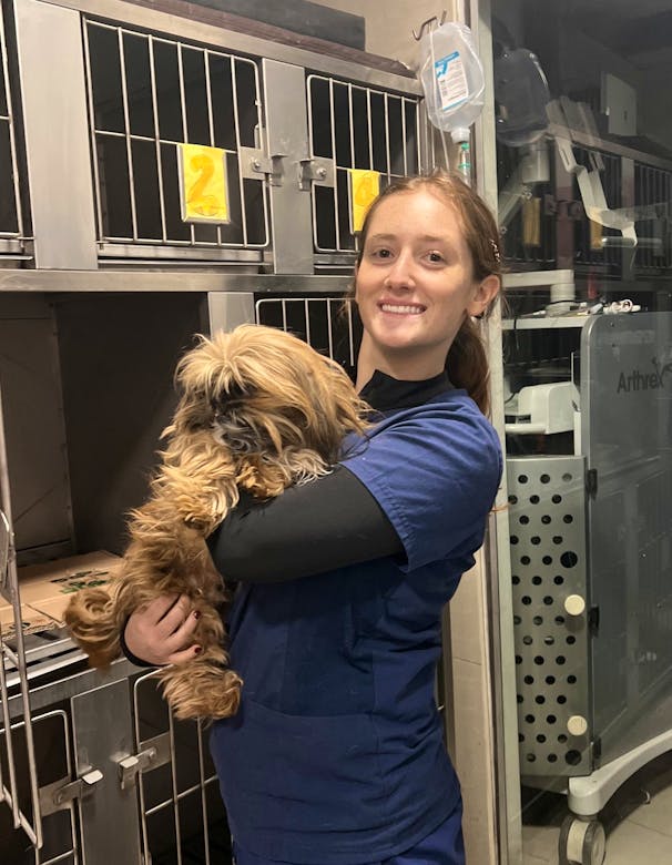 Veterinary Internship Support | Voluntariado en Perú 2025