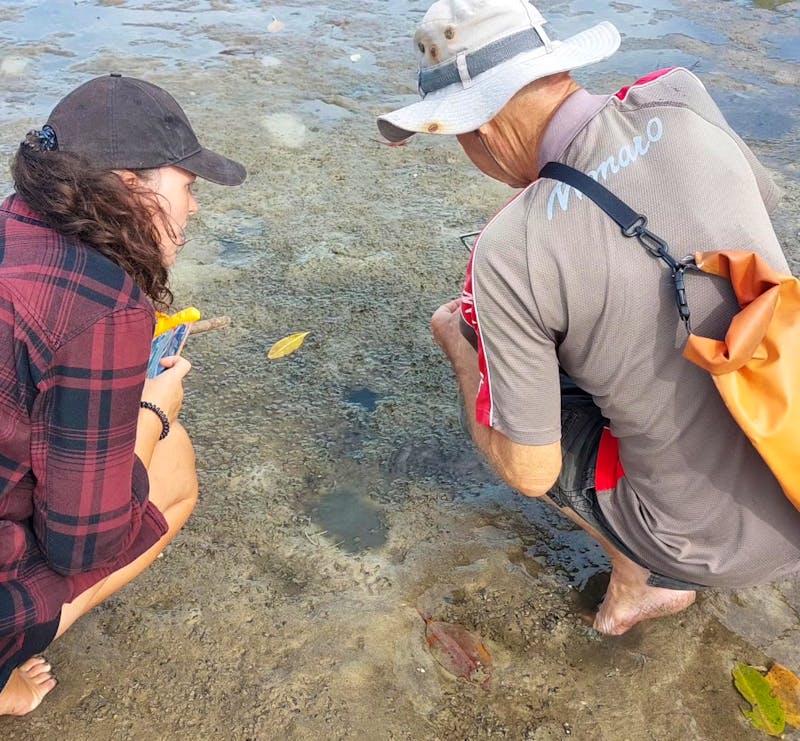 Sea Turtle and Island Conservation Helper | Volunteer in Thailand 2025