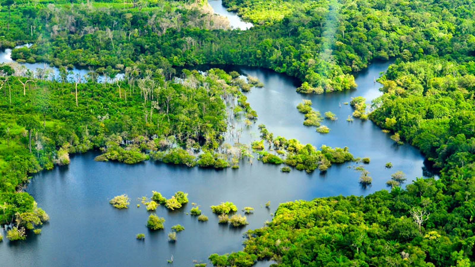 Amazon Rain Forest Conservation | Volunteer in Peru 2025