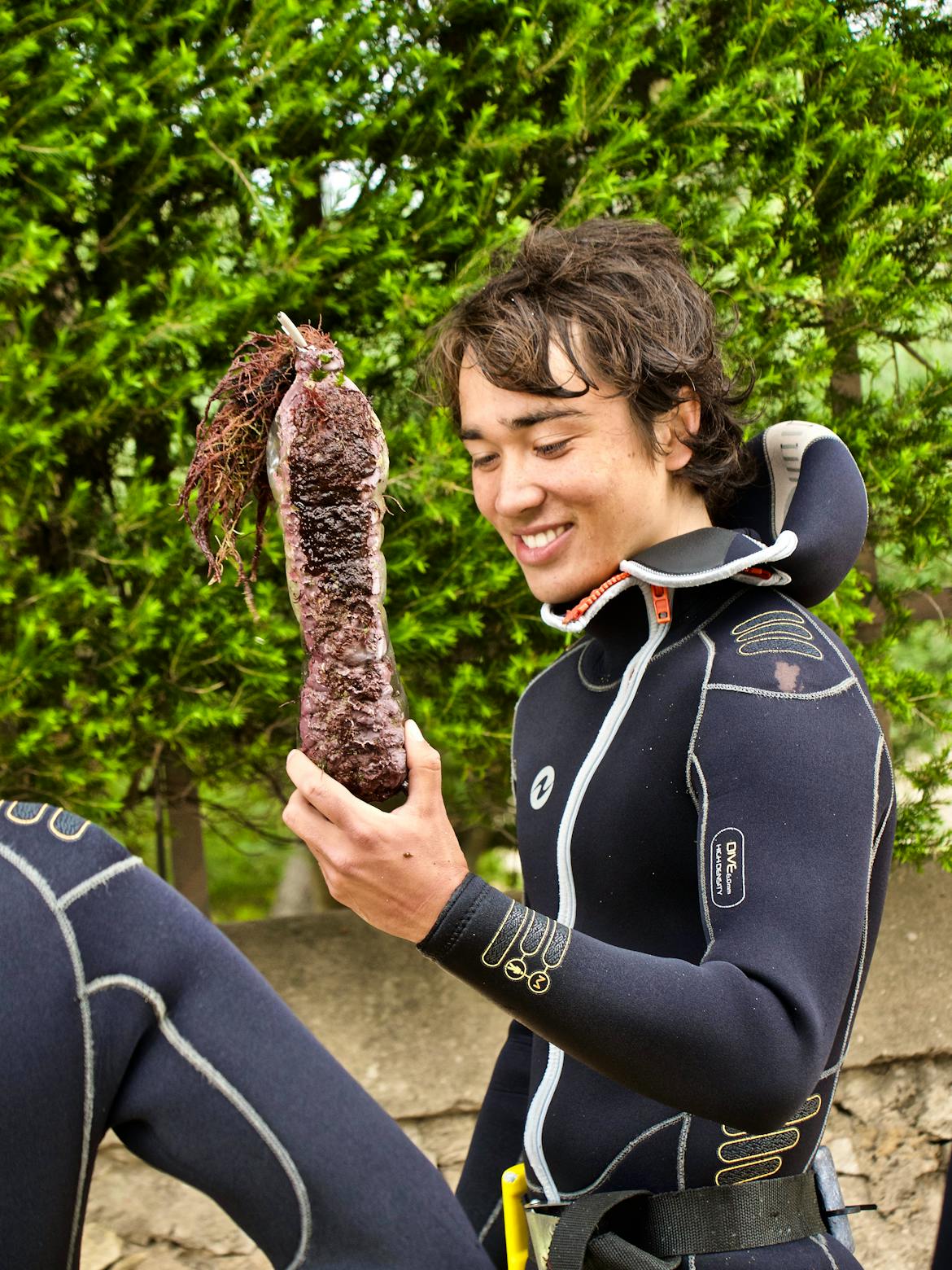 Environmental Scuba Diving | Volunteer in Portugal 2025