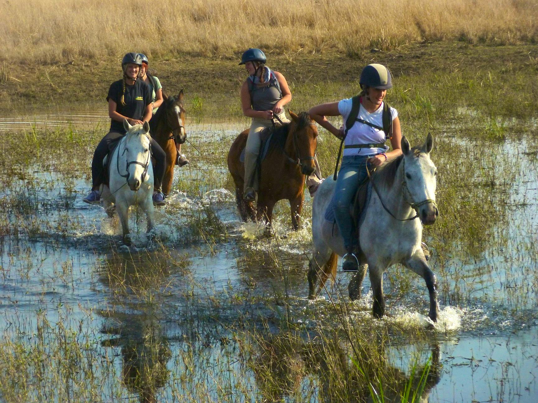 Horse Riding & Wildlife Conservation | Volunteer in Zimbabwe 2023