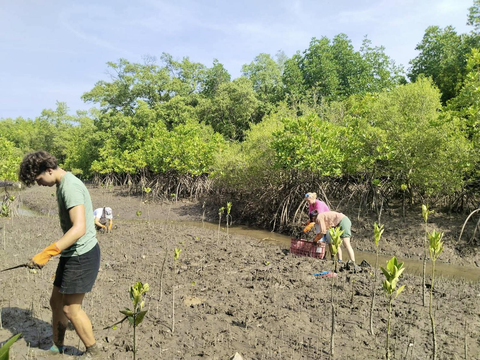 Environmental & Beach Conservation | Volunteer in Thailand 2025