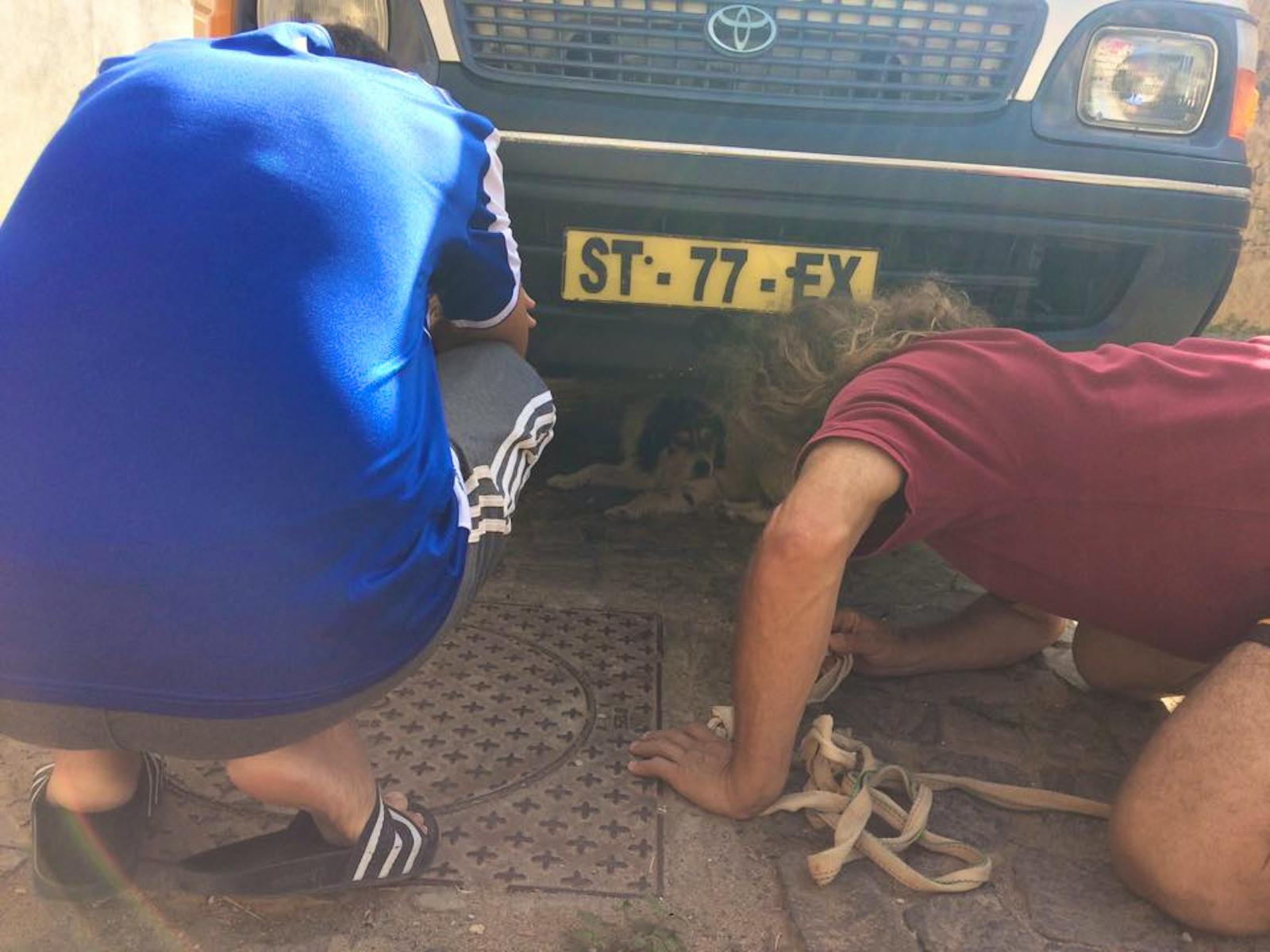 Animal saver | Volunteer in Cape Verde 2025