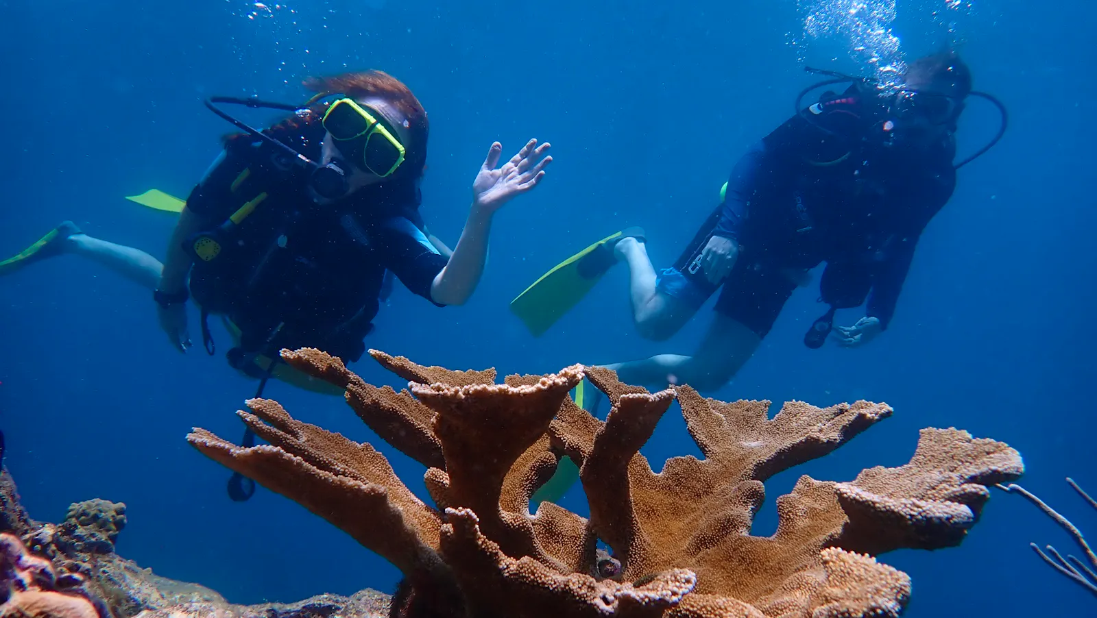 Marine Conservation Dive Master | Volunteer in Grenada 2025