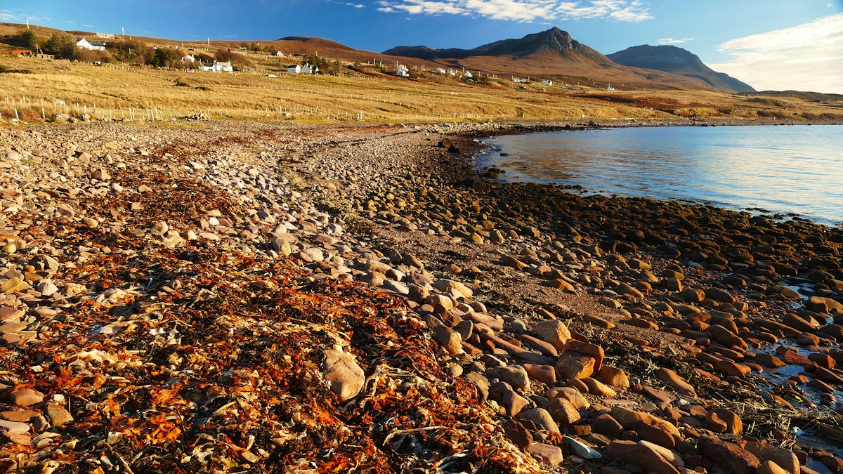 Wilderness Conservation Field Researcher | Volunteer in the United ...