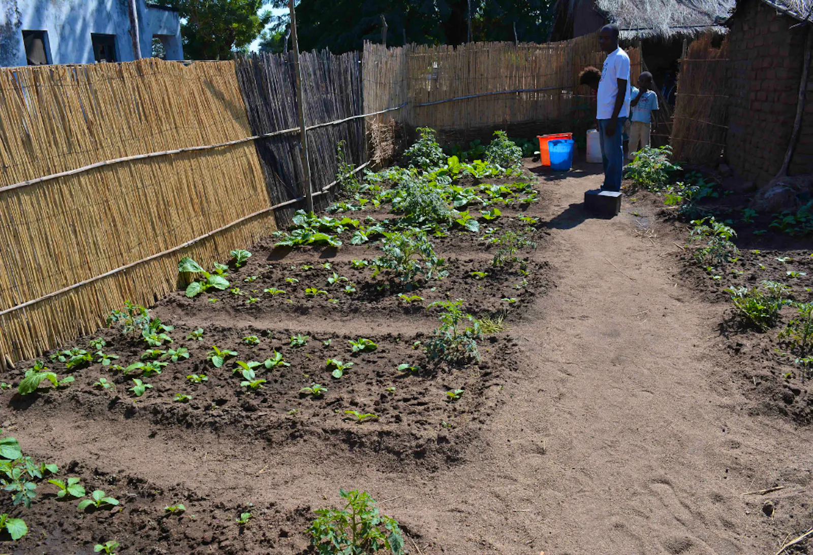 Sustainable Environmental Conservation | Volunteer in Malawi 2025
