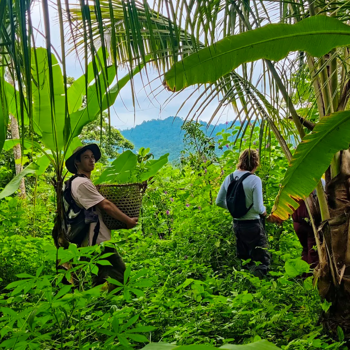 Sea Turtle Protection & Rainforest Preservation | Volunteer in Ecuador 2025