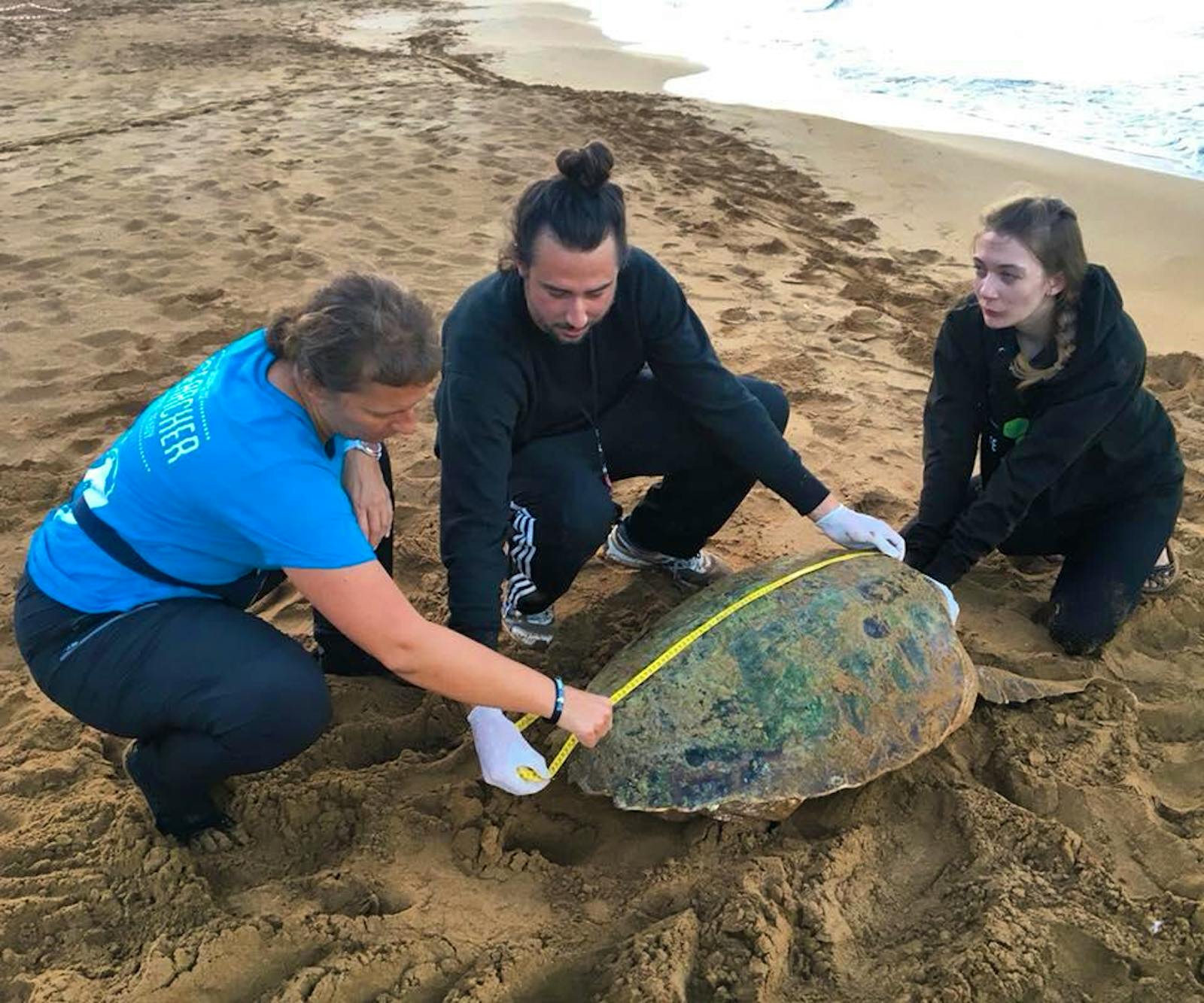 Greece Turtle Conservation Volunteers | Volunteer in Greece 2025