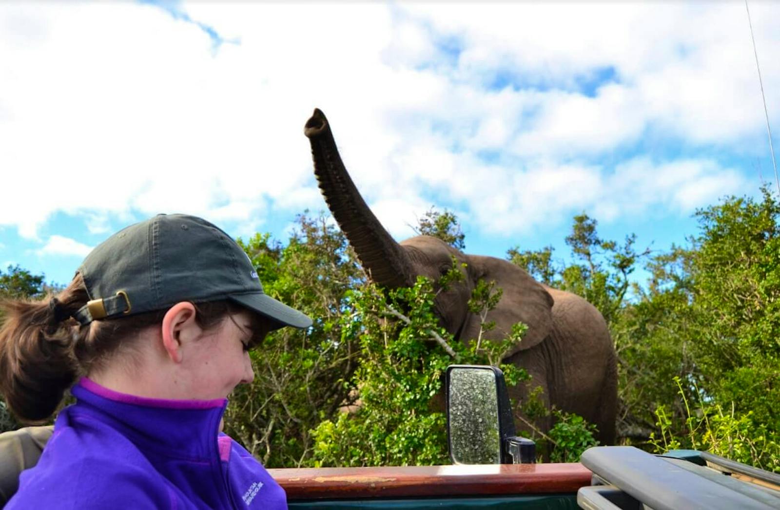 Wildlife Reserve Support | Volunteer in South Africa 2025