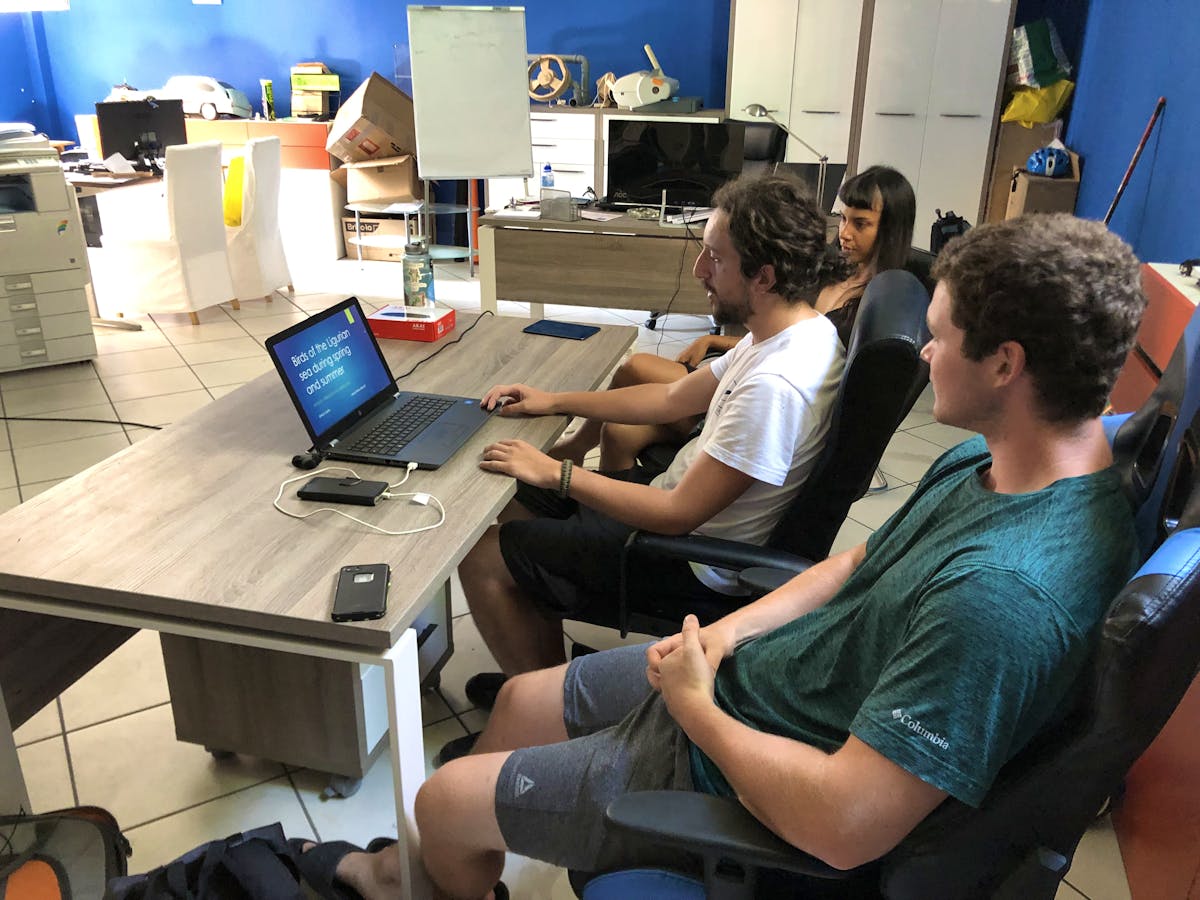 Dolphin Conservation Internship | Volunteer in Italy 2025