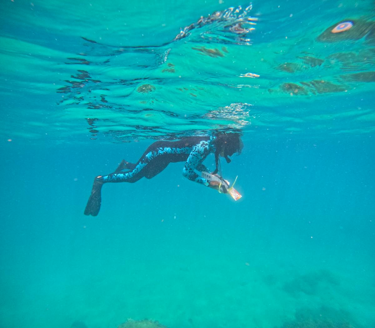 Great Barrier Reef Marine Conservation | Volunteer in Australia 2025