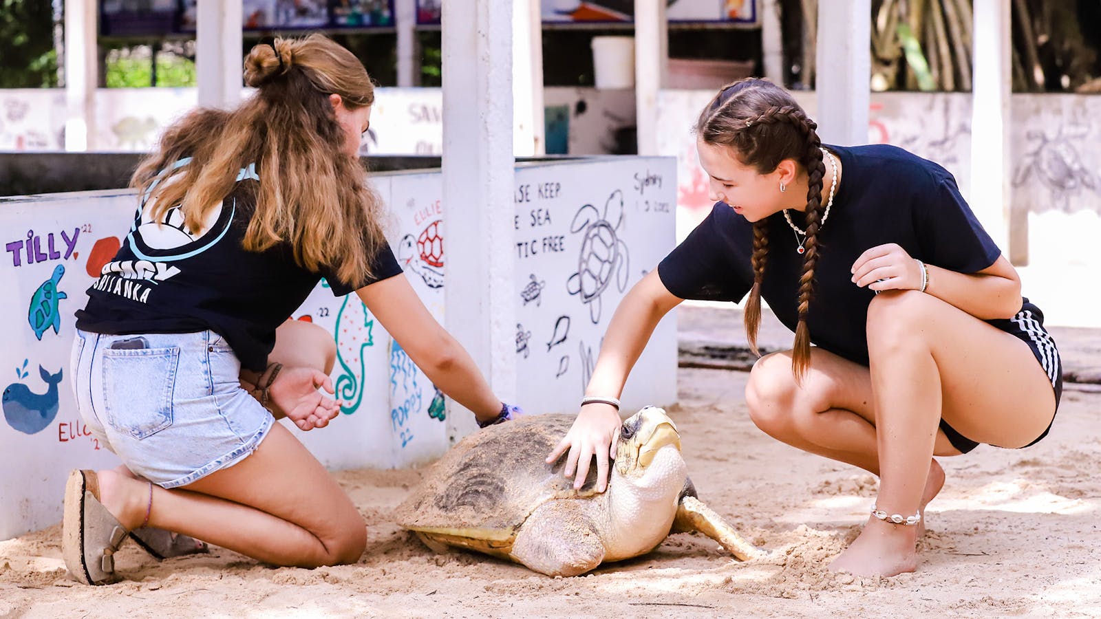 Sri Lanka Turtle Conservation Volunteers | Volunteer in Sri Lanka 2025