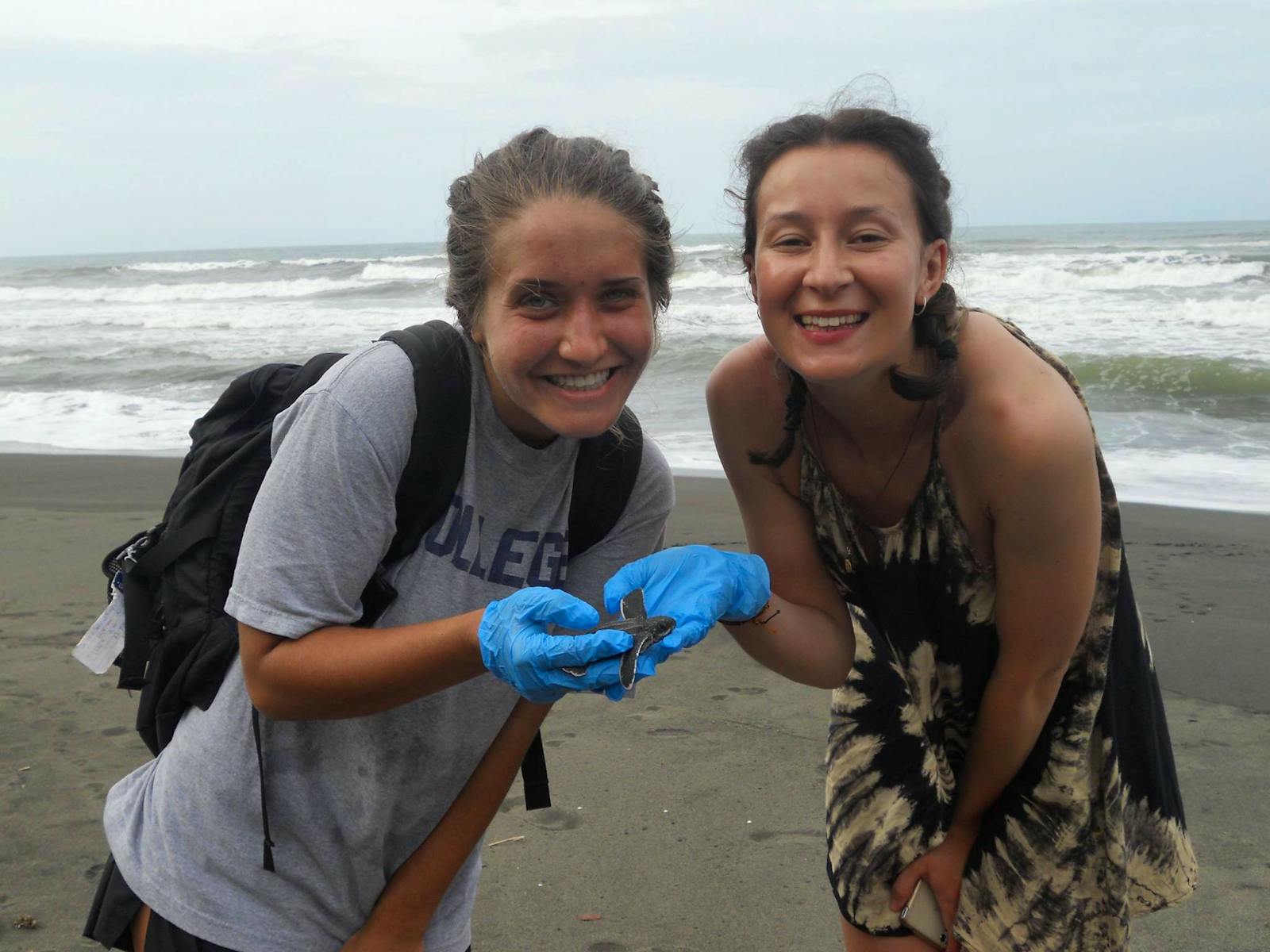 Work in Turtle Conservation | Volunteer in Costa Rica 2025