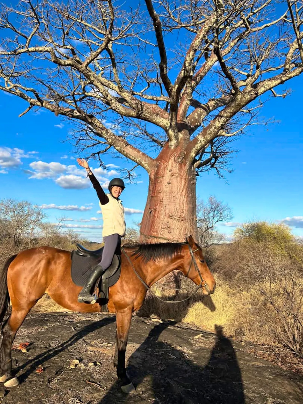 Southern Safari Stables | Volunteer in Zimbabwe 2025