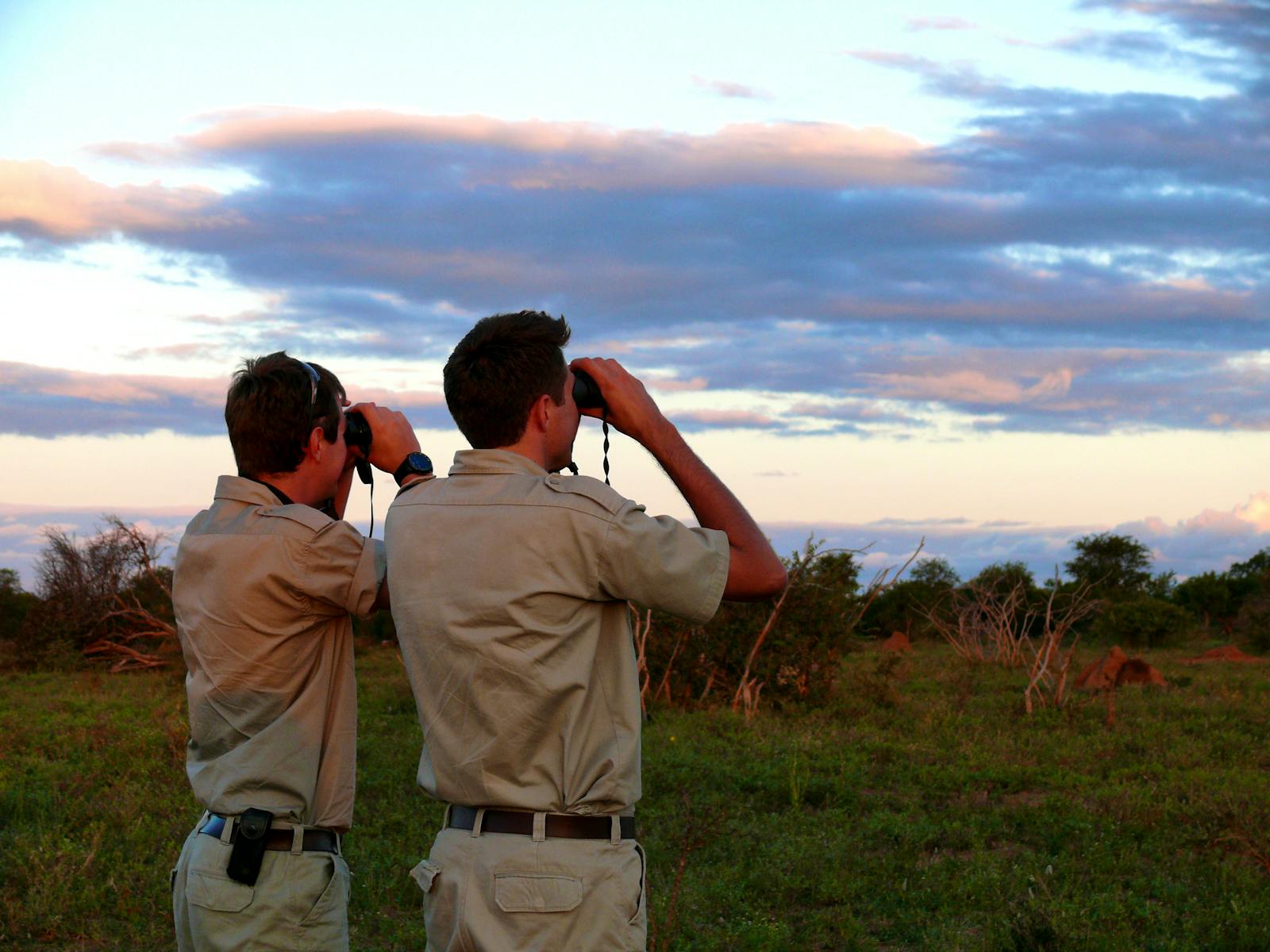 Field Guide Course | Volunteer in South Africa 2025