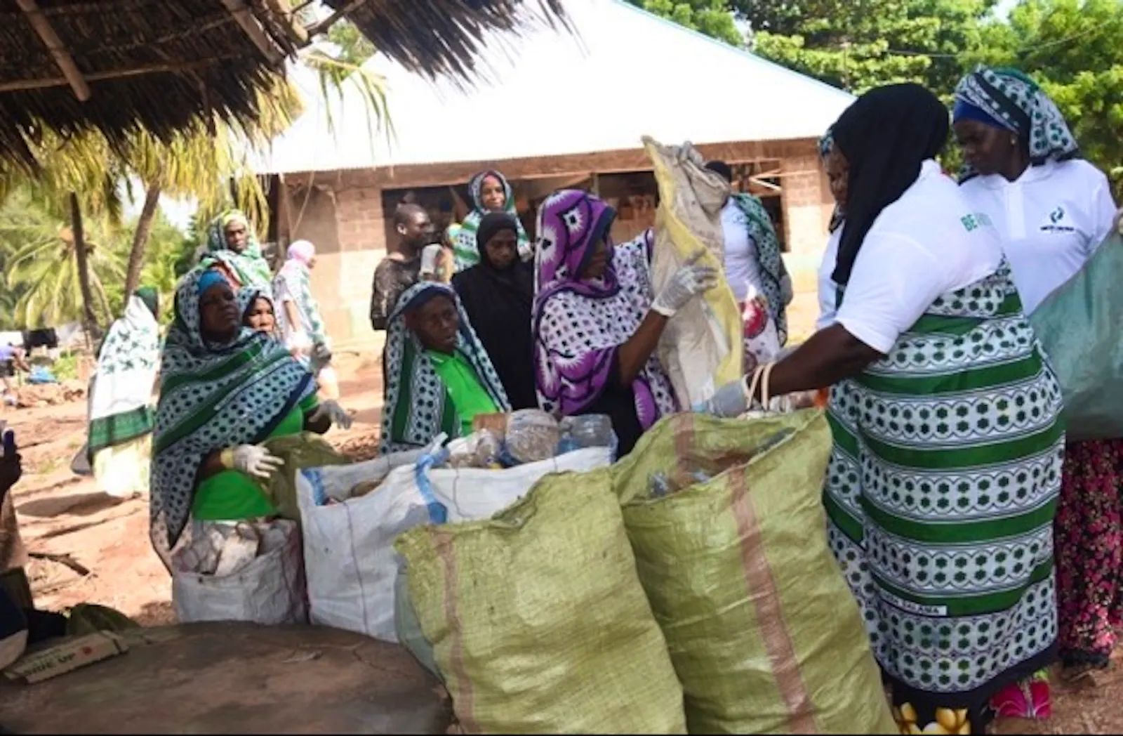 Environmental Conservation Assistant | Volunteer in Tanzania 2025