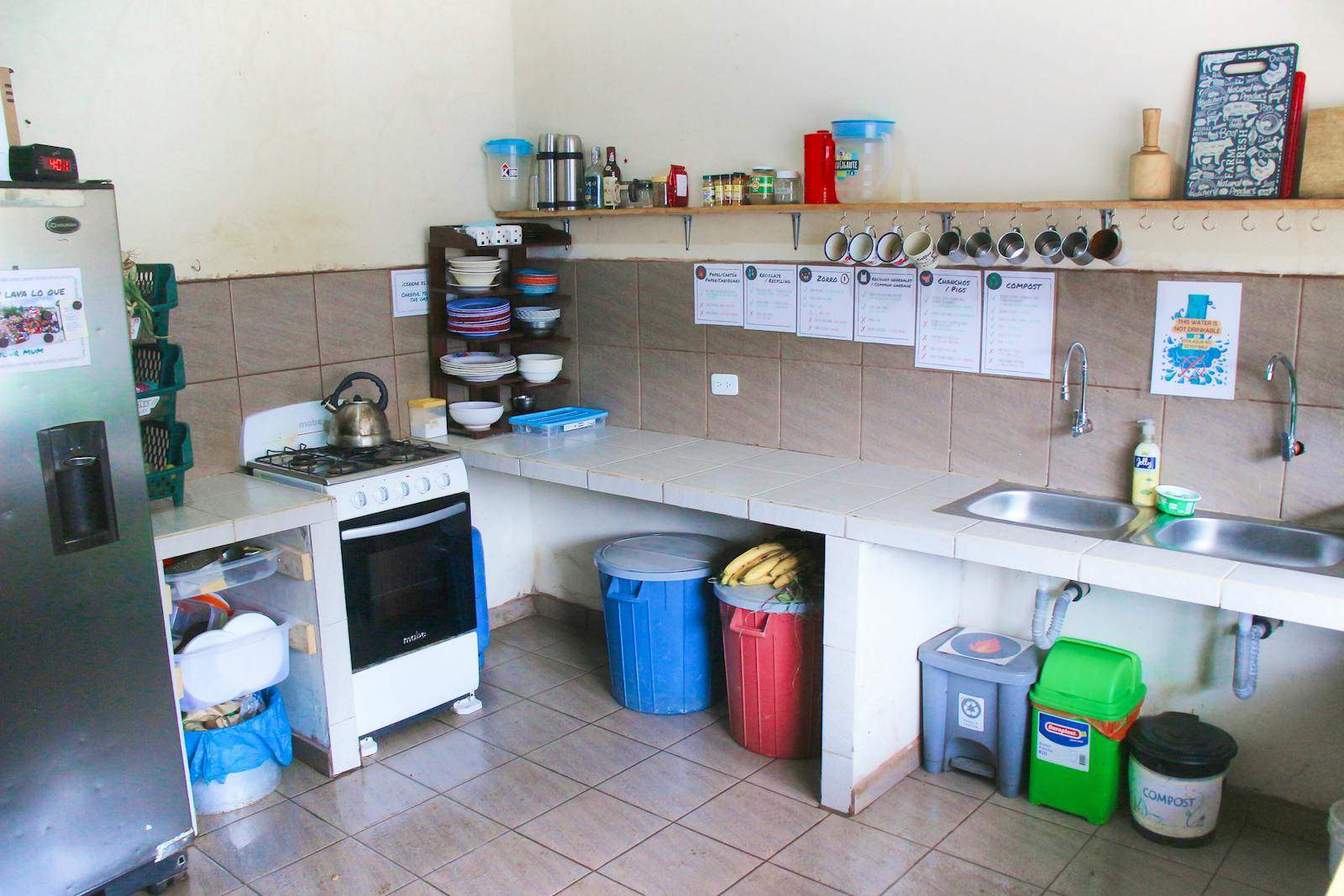 NGO Fundraising Specialist | Volunteer in Ecuador 2024