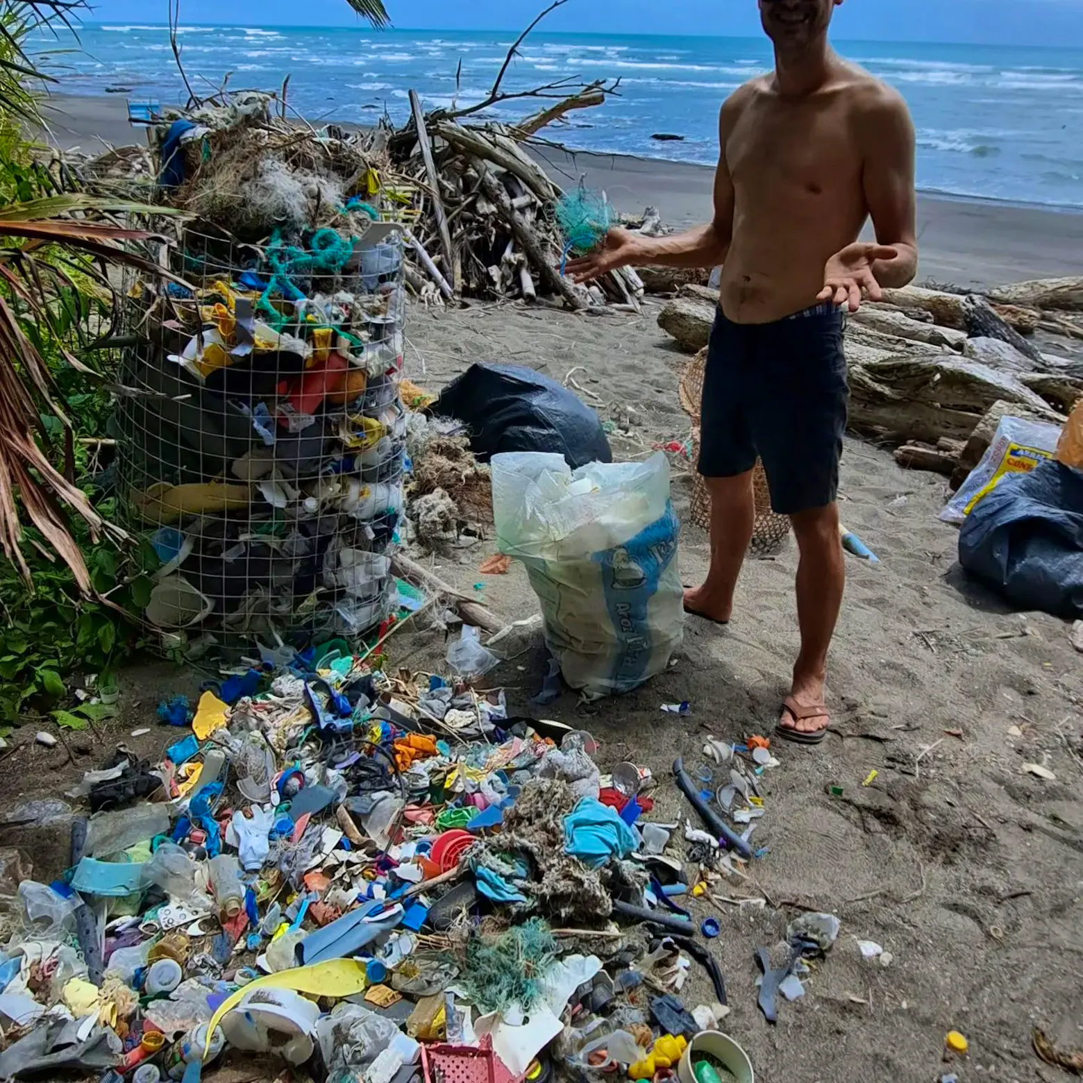 Sea Turtle Protection & Rainforest Preservation | Volunteer in Ecuador 2025