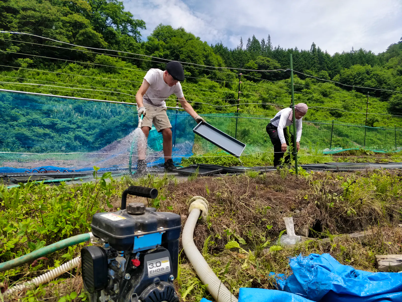 Agriculture and Farming | Volunteer in Japan 2025