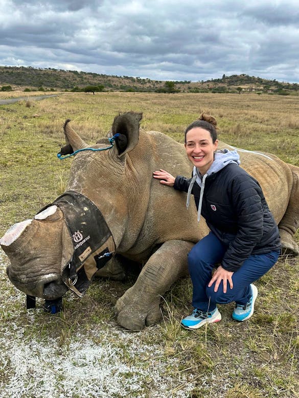 Wildlife Relocation and Veterinary Experience | Volunteer in South ...