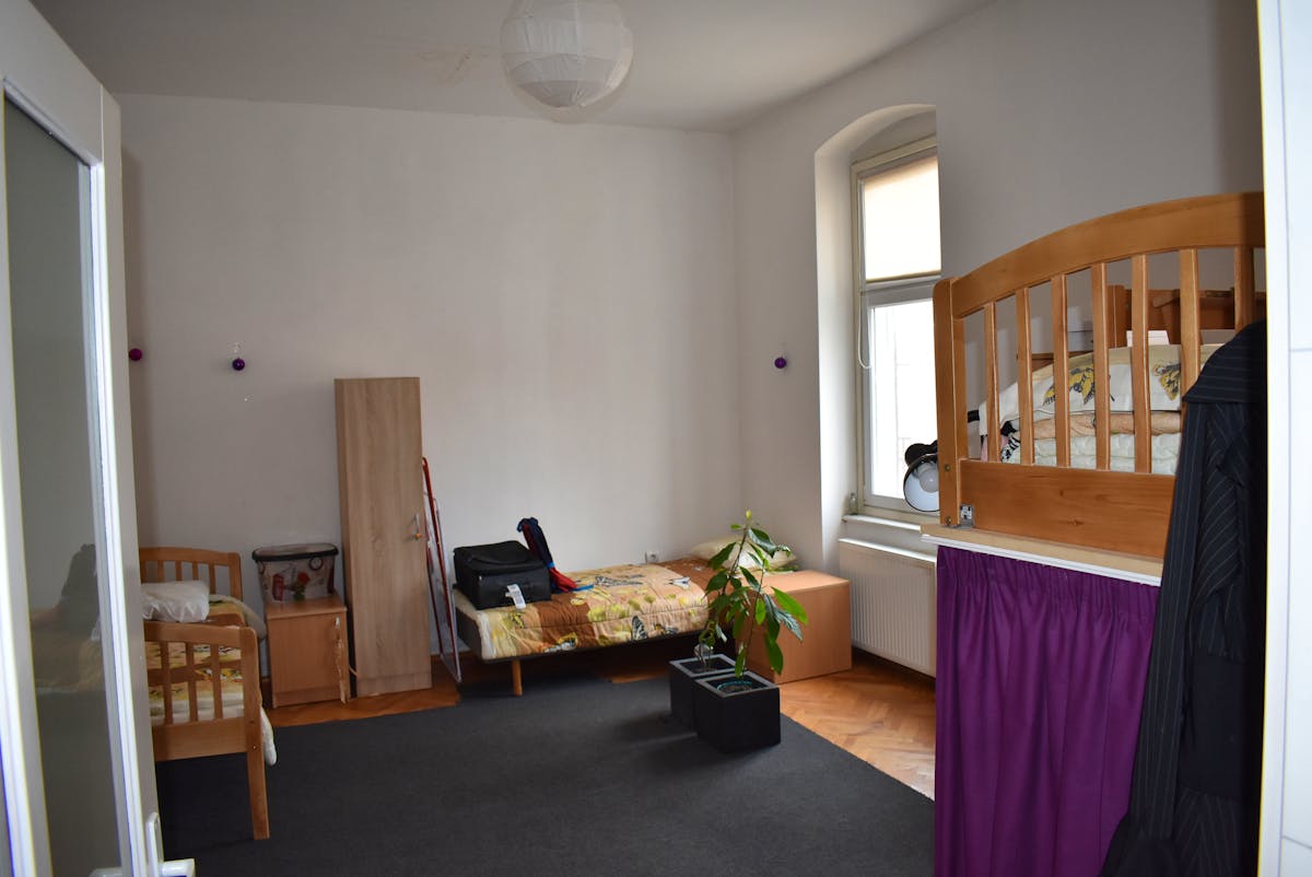 NGO Office Assistant | Volunteer in Romania 2025