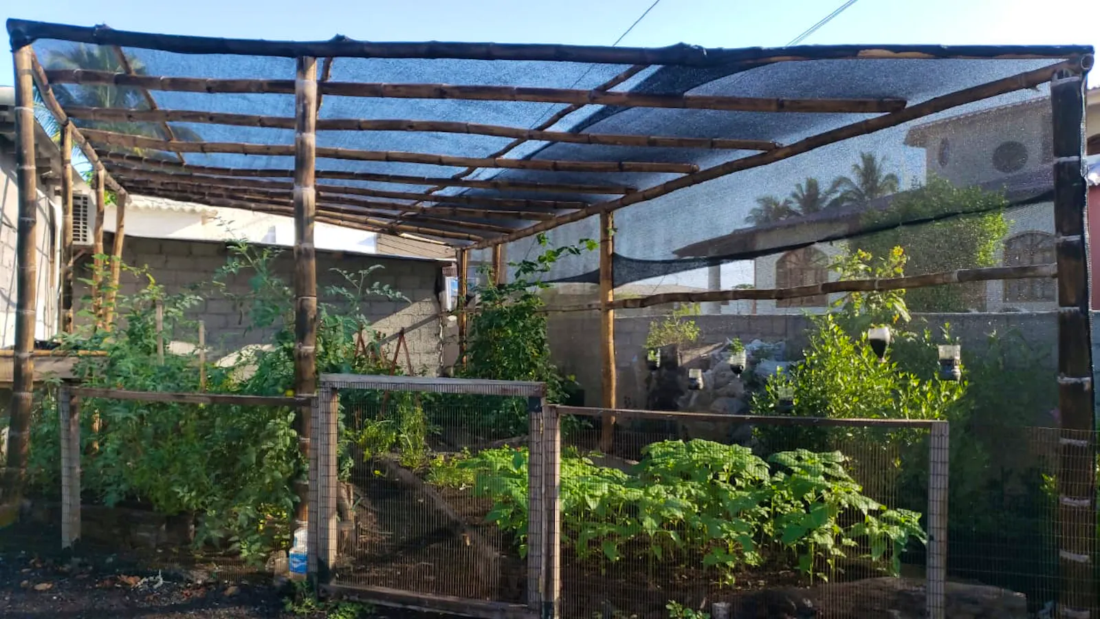 Sustainable Farming & Urban Agriculture | Volunteer in Ecuador 2025