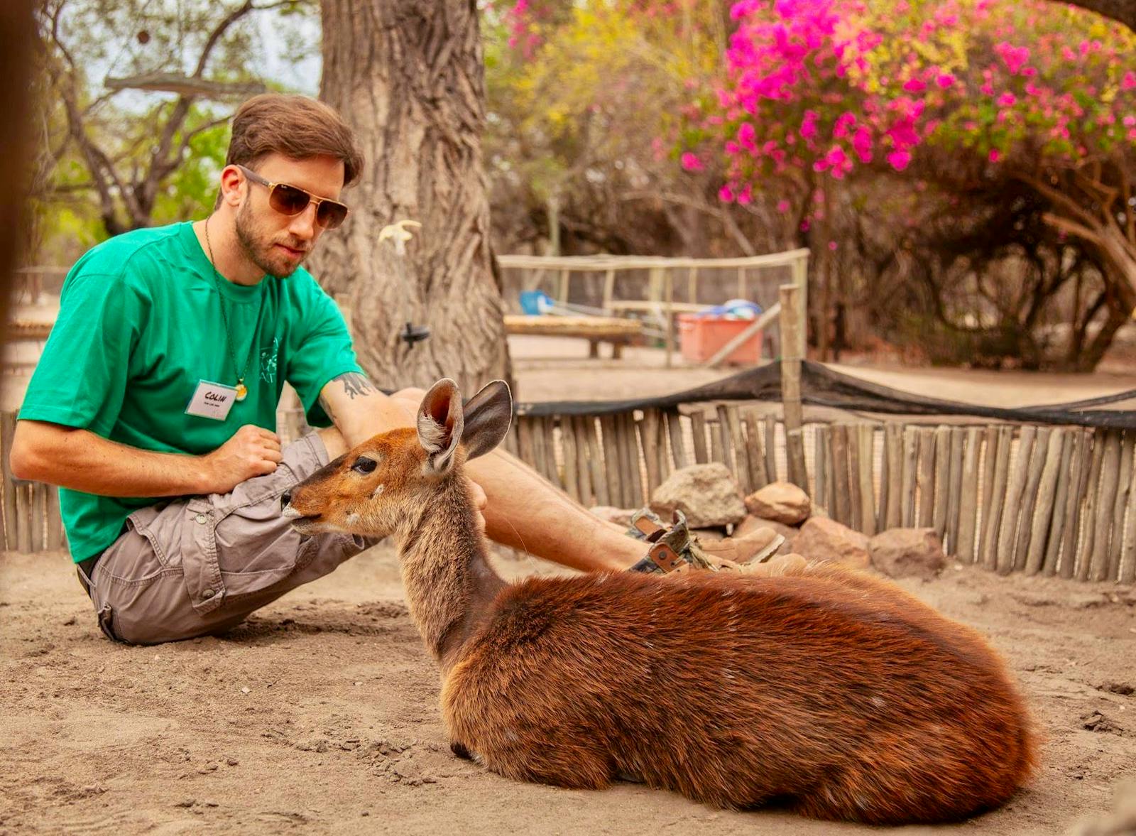 NGO Fundraising Manager | Volunteer in South Africa 2025