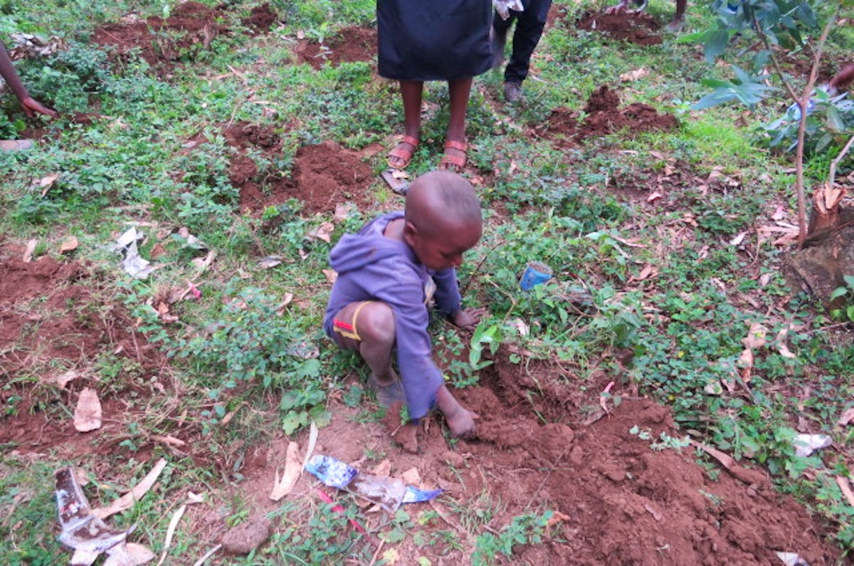 Reforestation Technical Assistant | Volunteer in Rwanda 2025