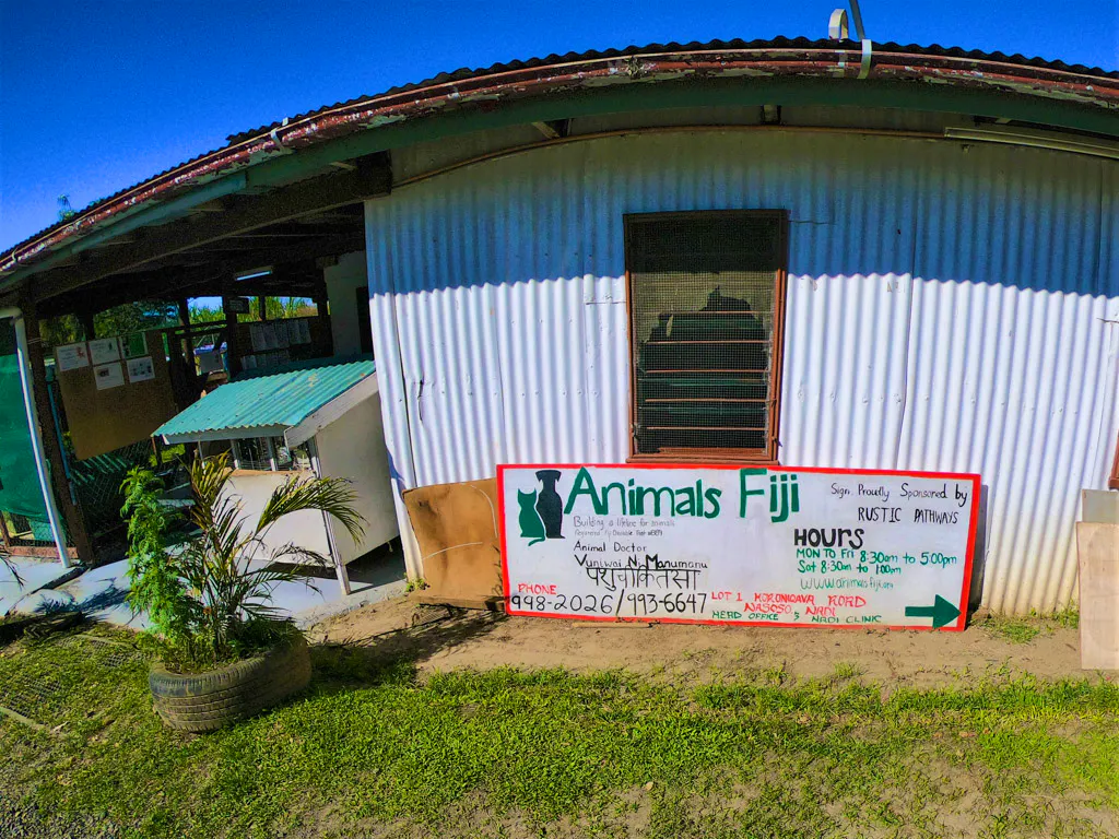 Animal Care and Shelter | Volunteer in Fiji 2023