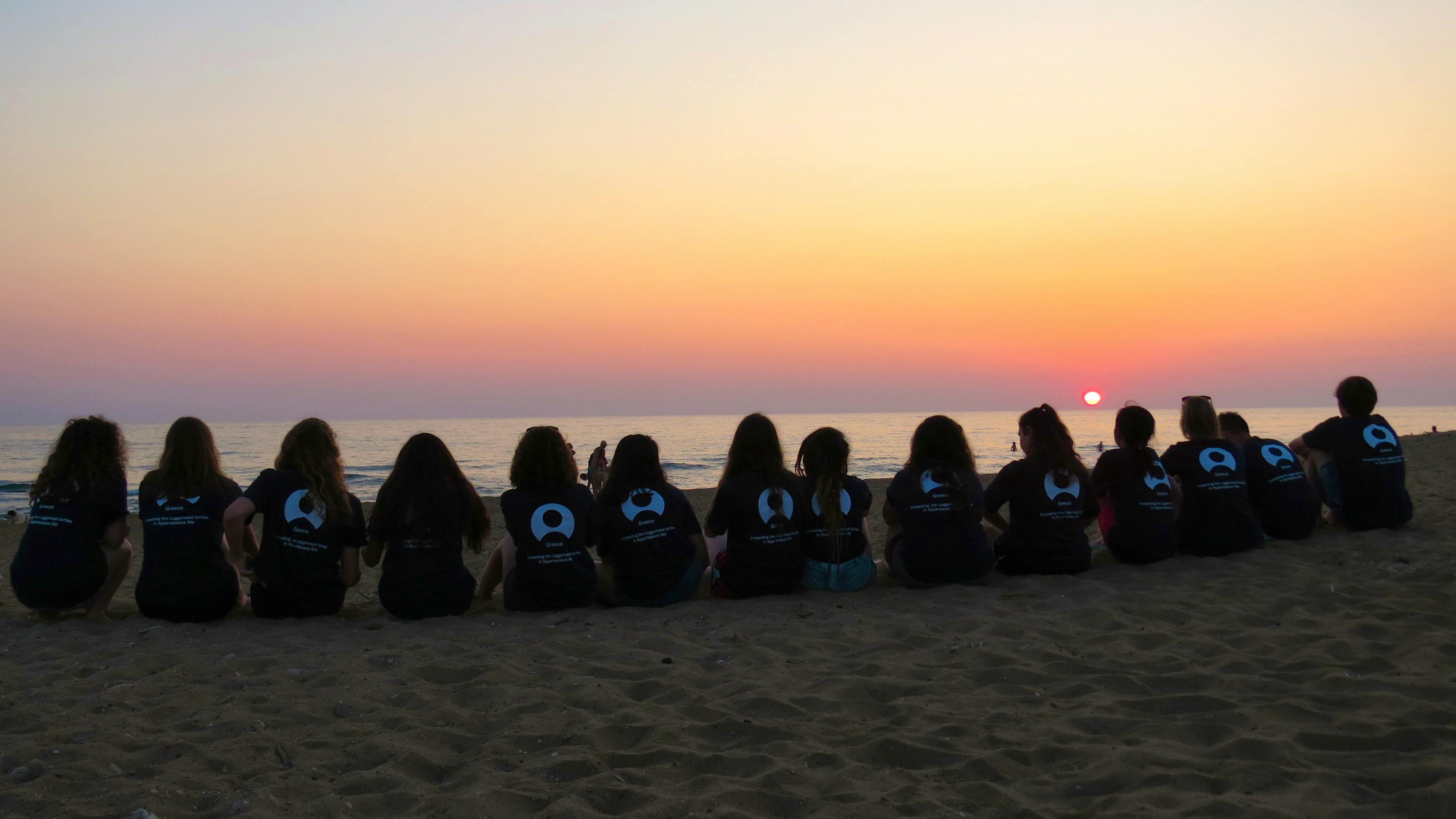 Sea Turtle Conservation in Greece [Updated 2022] | Volunteer World