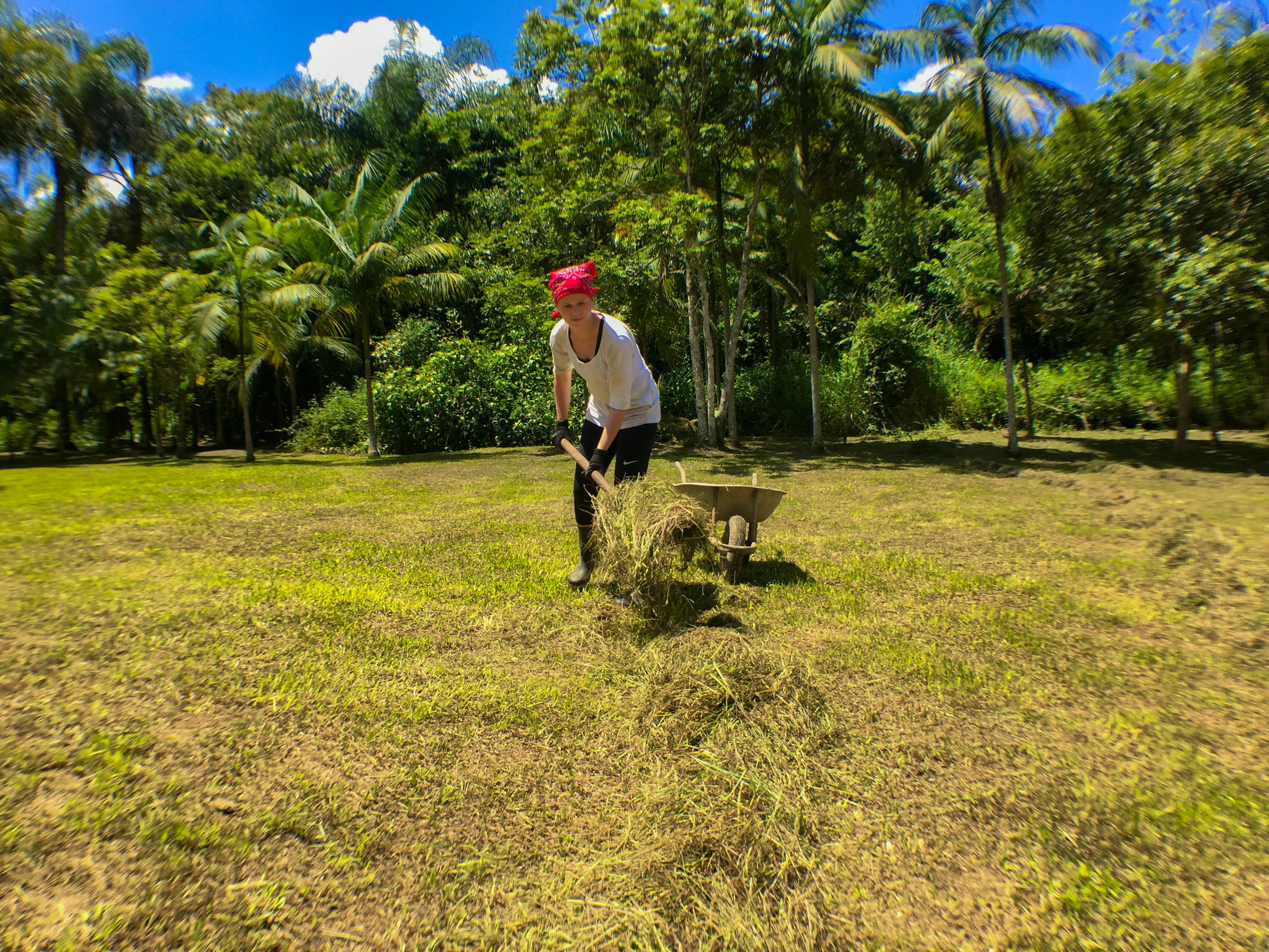 IPBio - Reserva Betary | Volunteer Abroad 2024 | Volunteer World