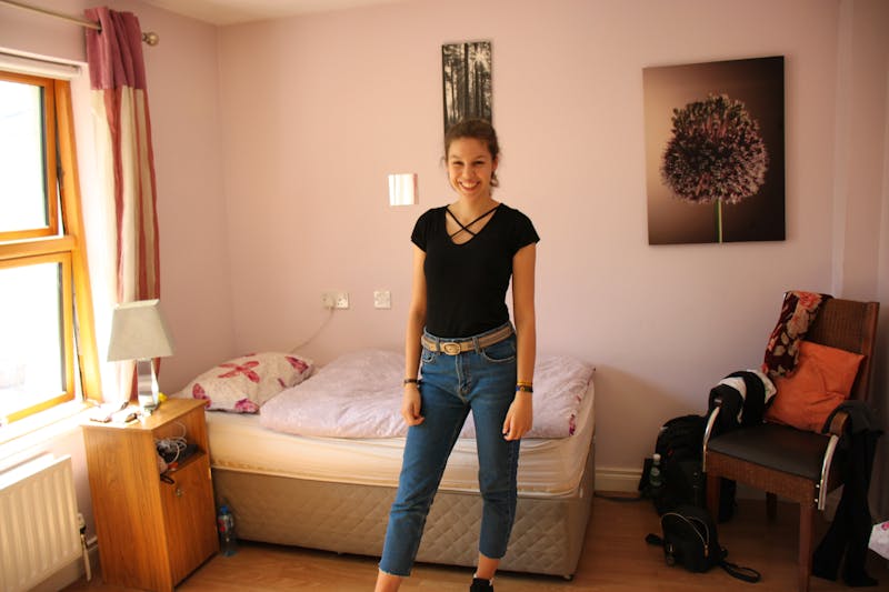 Animal Rescue & Community Development Helper | Volunteer in Ireland 2025