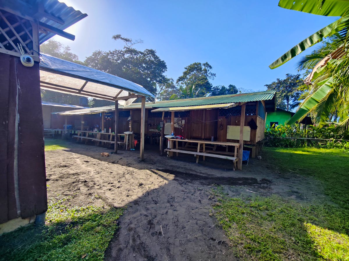 Turtle Conservation Camp Supporter | Volunteer in Costa Rica 2025