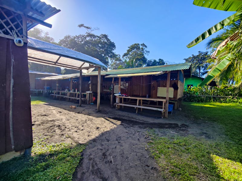 Turtle Conservation Camp Supporter | Volunteer in Costa Rica 2025