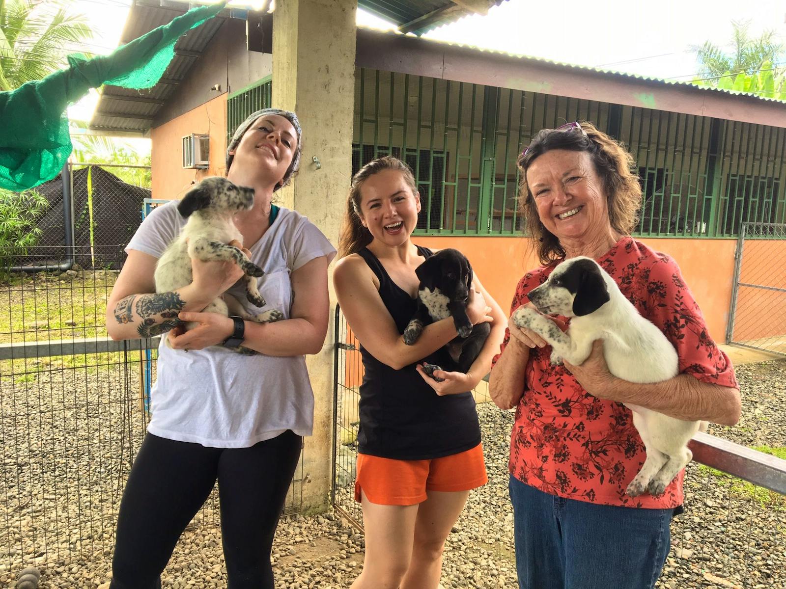 Support a Cat and Dog Shelter | Volunteer in Costa Rica 2025