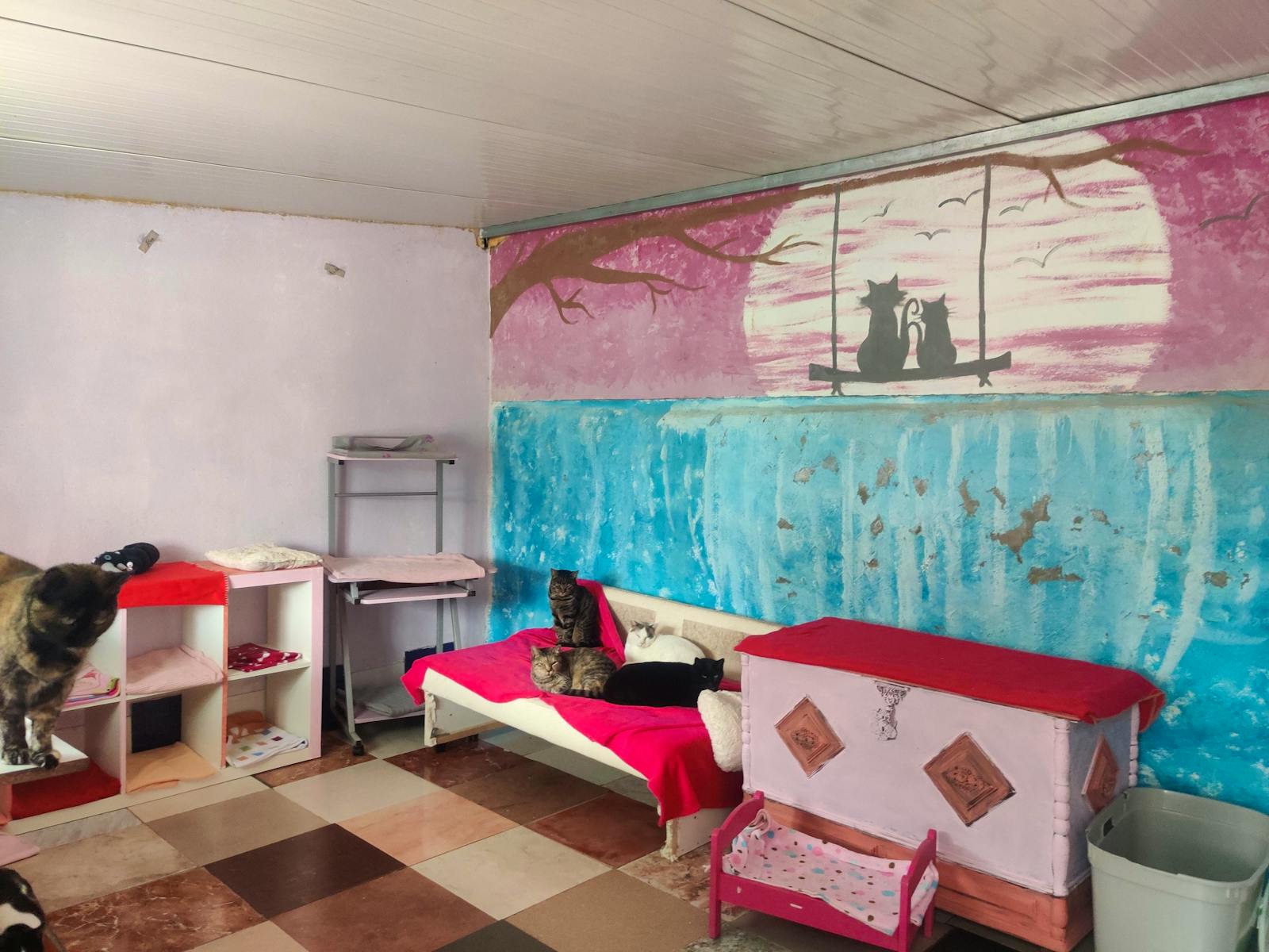 Animal Caretakers | Volunteer in Portugal 2025