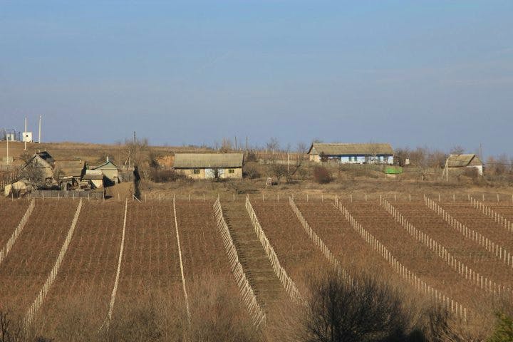 Volunteer in Moldova 🇲🇩| Top 10 Programs 2023 | Volunteer World