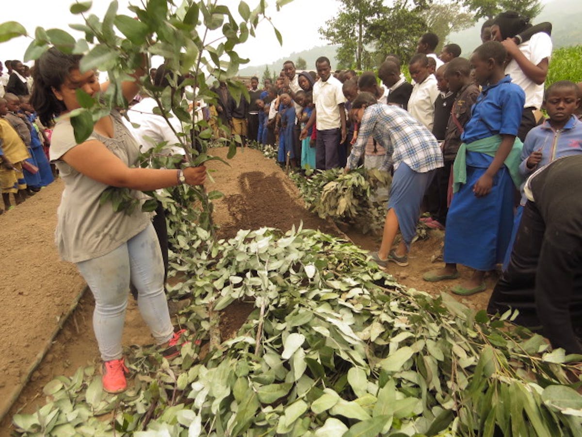 Reforestation Technical Assistant | Volunteer in Rwanda 2025