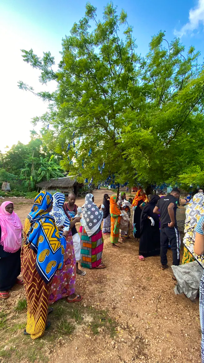 Environmental Conservation Assistant | Volunteer in Tanzania 2025