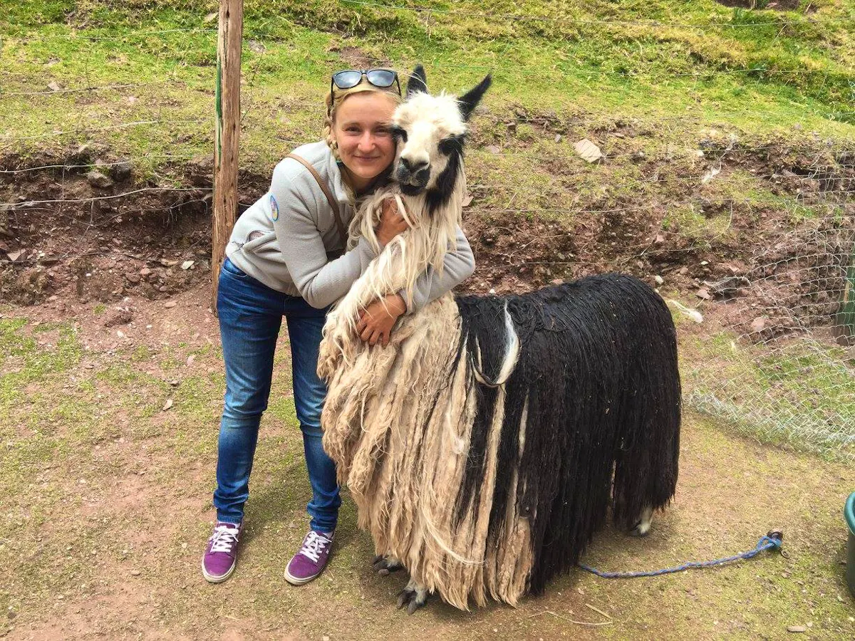Zoo Assistant | Volunteer in Peru 2025
