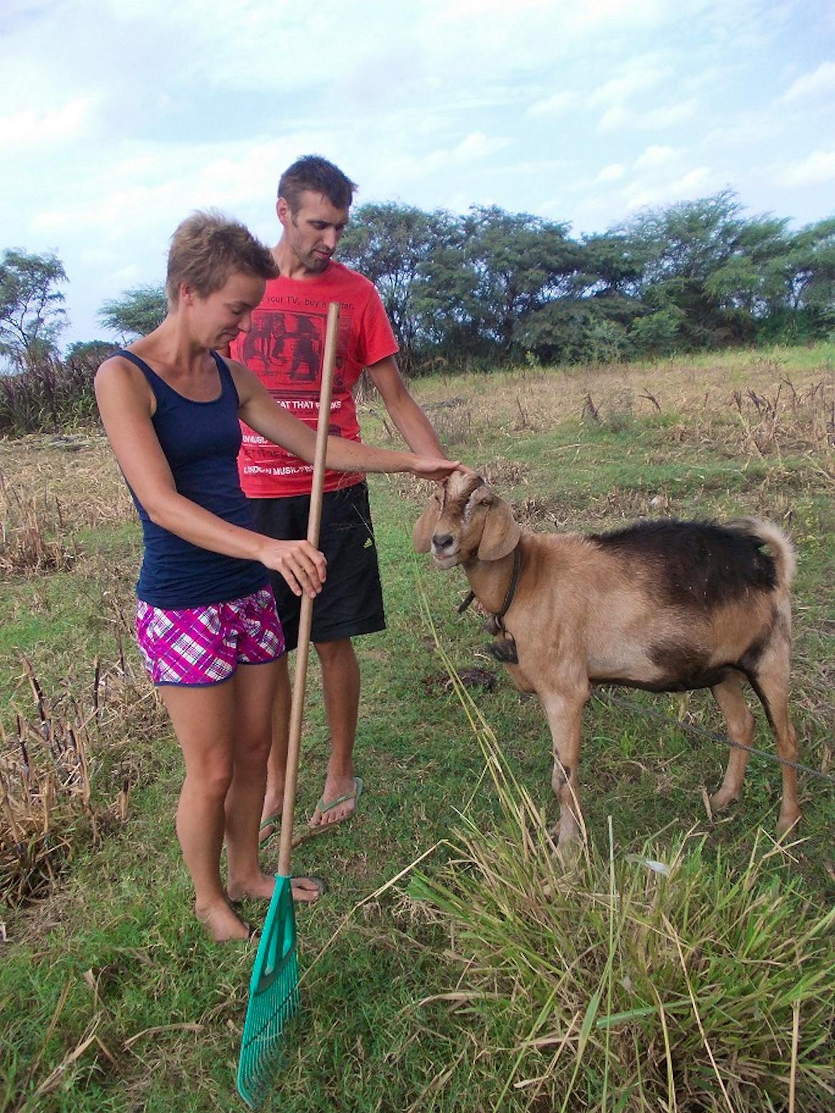 Street Animal Rescue Supporter | Volunteer in Peru 2025