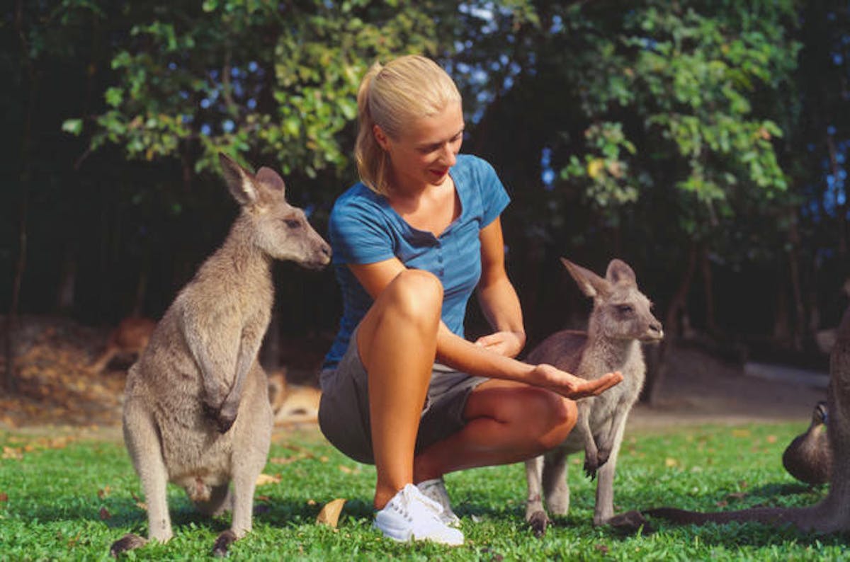 Tropical Exotic Wildlife Caretaker | Volunteer in Australia 2025