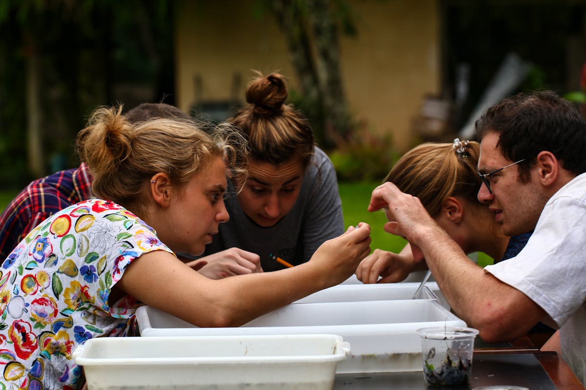 Amazon Research Assistant | Volunteer in Brazil 2025