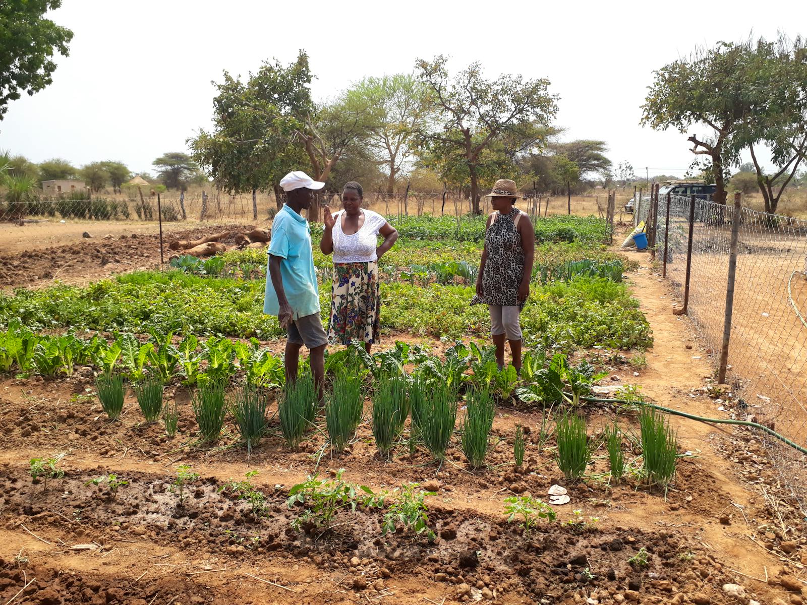 Rural Community Development Assistant | Volunteer in Zimbabwe 2025