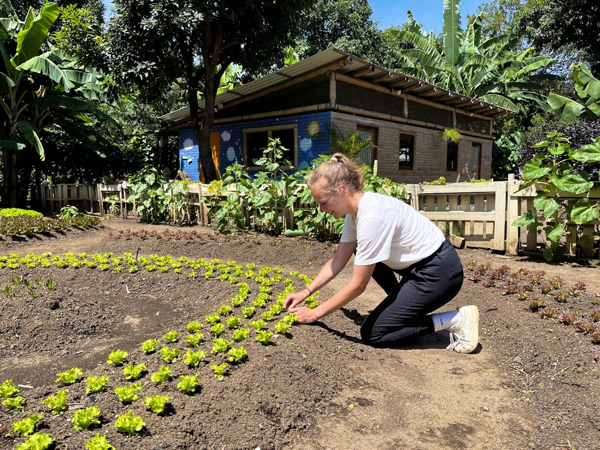 Eco Farming & Agriculture Supporter | Volunteer in Guatemala 2025