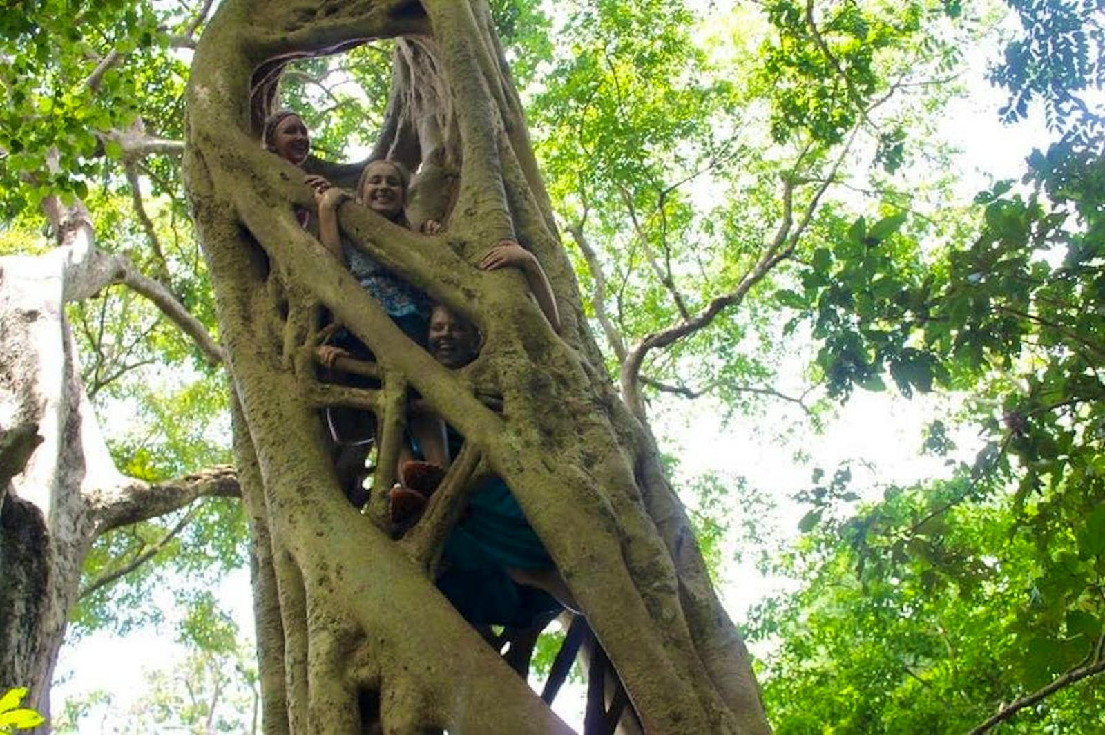 Midwives internship support | Volunteer in Ghana 2025