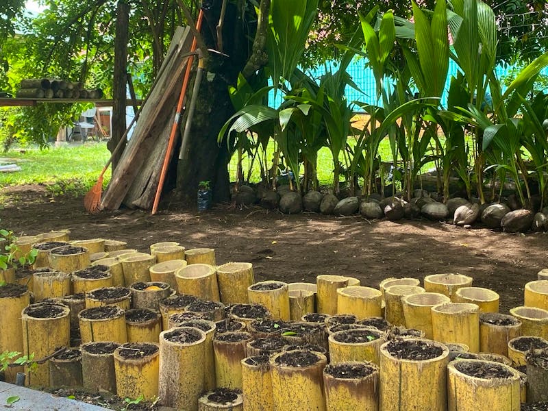 Reforestation/Community Development | Volunteer in Costa Rica 2025