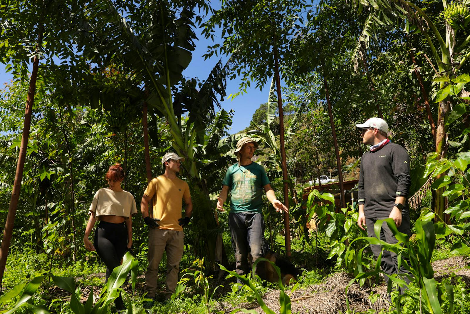 Agroforestry & Sintropic Agriculture Assistant | Volunteer in Brazil 2025