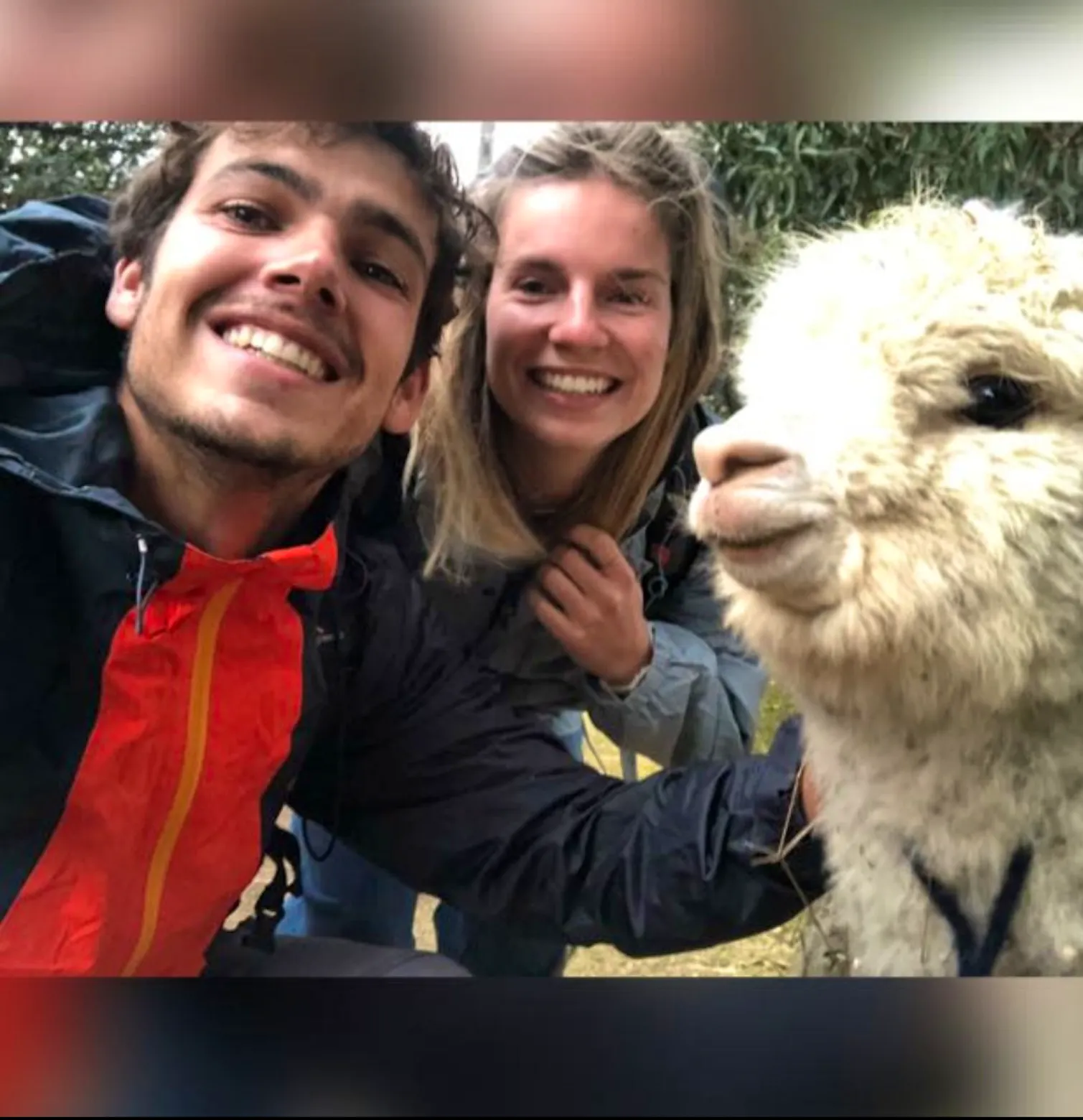 Zoo Assistant | Volunteer in Peru 2025
