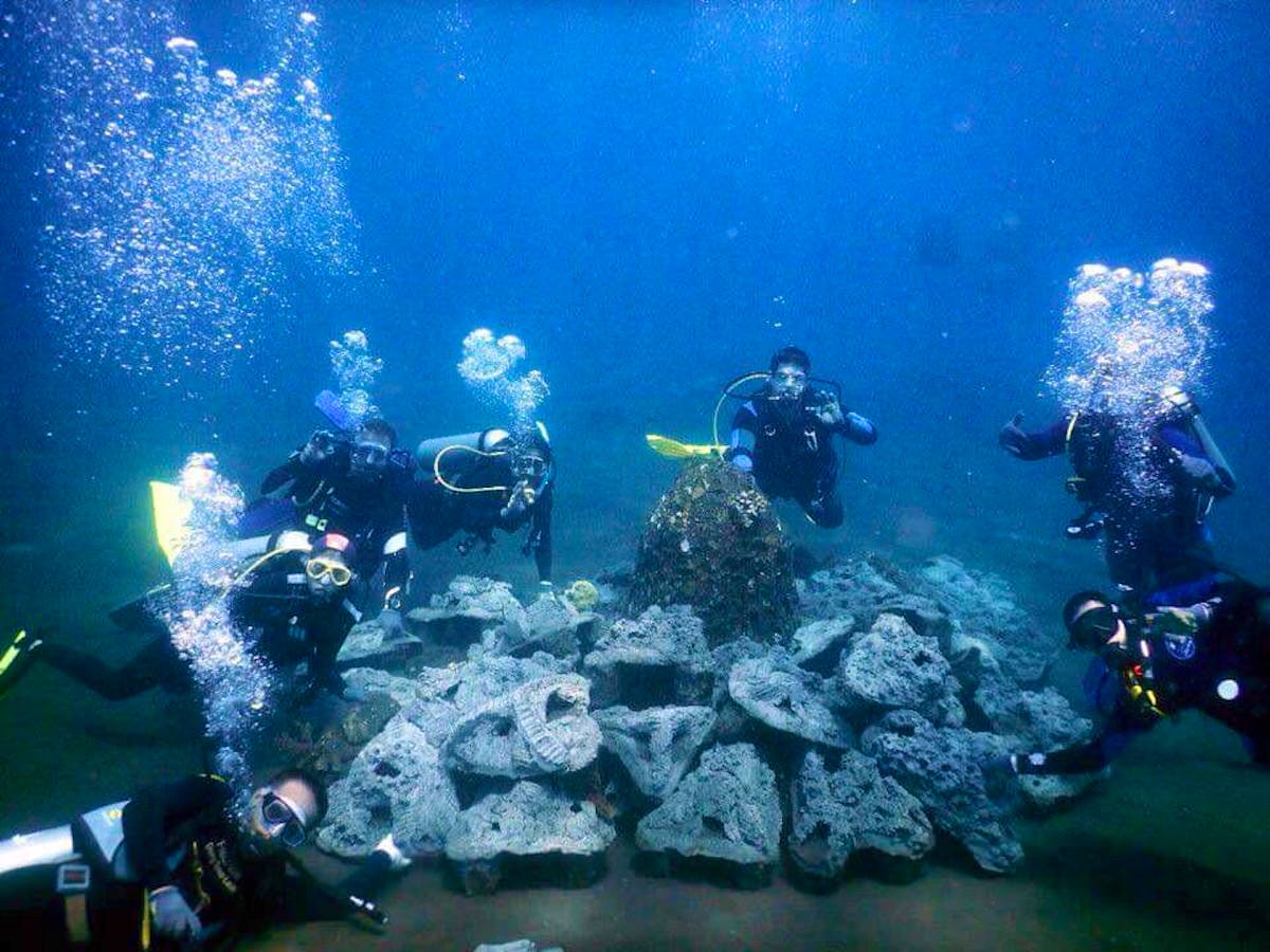 Reef Conservation Supporter | Volunteer in Indonesia 2025